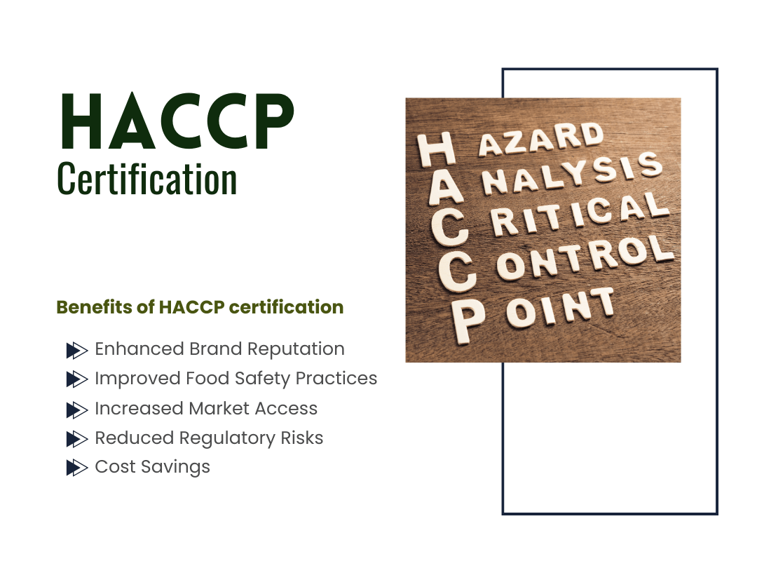 Expert HACCP Certification Services | EazyBusi Bizsolution